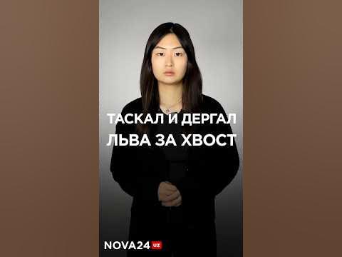 В Ташобласти мужчина таскал льва за хвост #новости #узбекистан - YouTube
