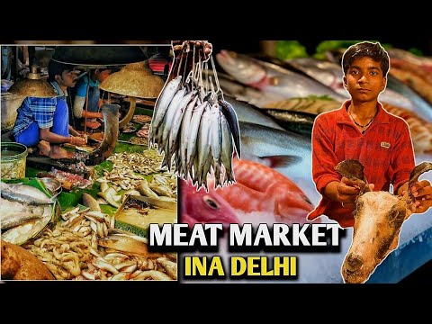 Biggest Meat Market in Delhi | INA Fish market | INA Market Delhi ...