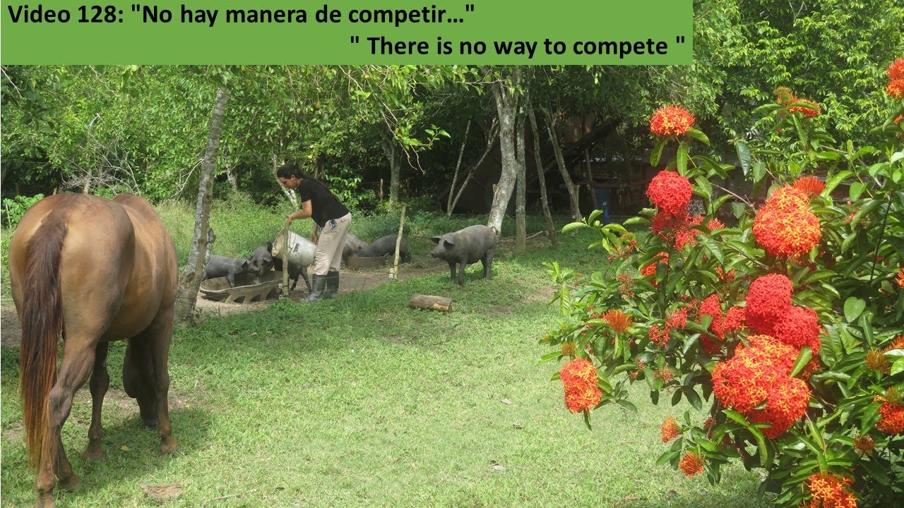 128 No hay manera de competir…There is no way to compete - YouTube