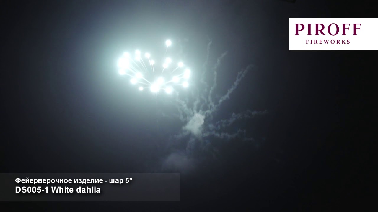 DS005 1 White dahlia - YouTube
