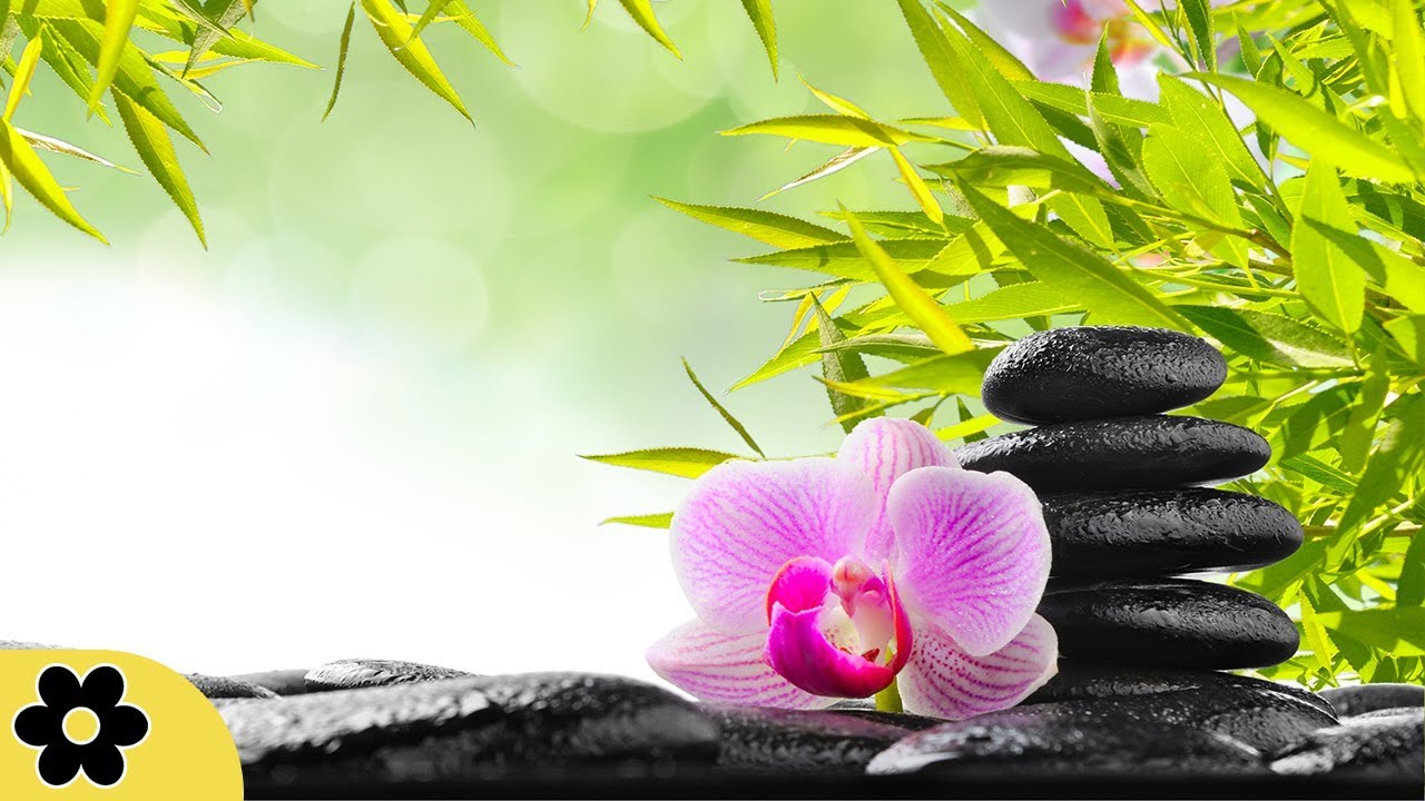 Zen Music Relaxing Music Calming Music Stress Relief Music Peaceful