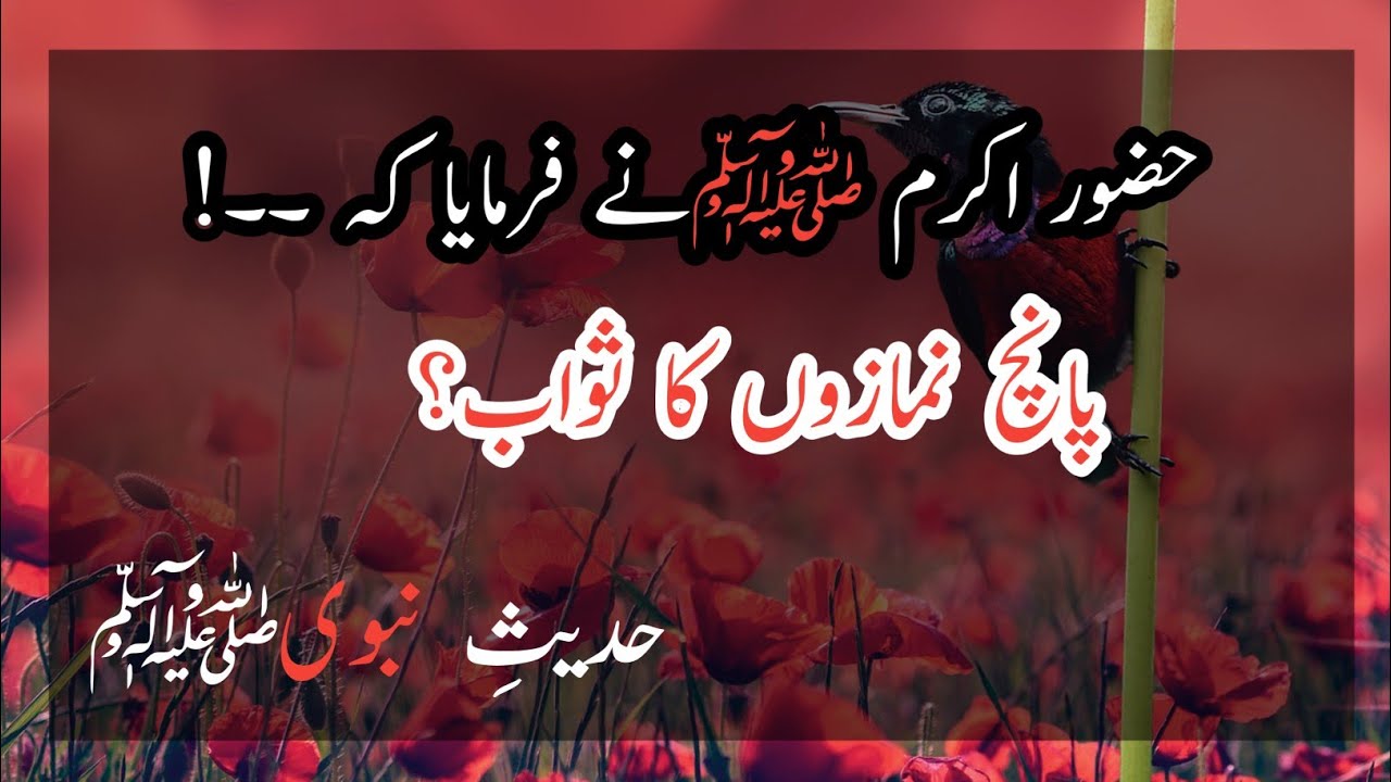 Hadees e mubarka | hadees abut nimaz |hadees sharif | حدیثِ نبوی ﷺ ...