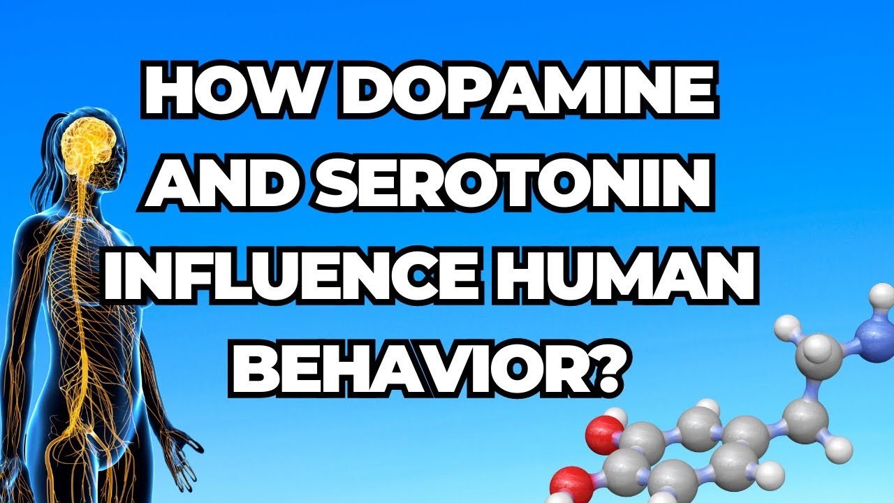 How Dopamine and Serotonin Influence Human Behavior? - YouTube