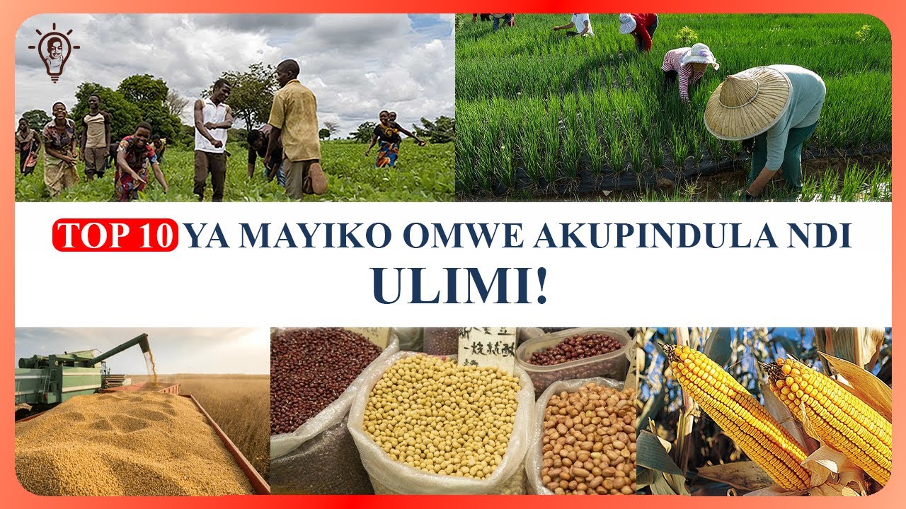 Top 10 Ya Mayiko Omwe Akupindula Ndi Ulimi - YouTube