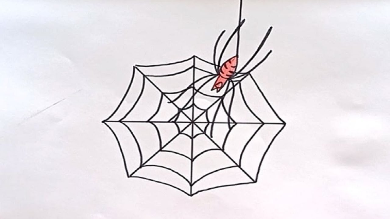 Spider web drawing | Drawing for beginner 🕸️ - YouTube