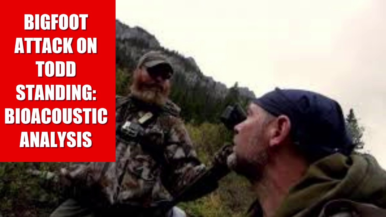 Bigfoot Attack On Todd Standing Bioacoustic Analysis By Bigfoot Anthropologist Youtube