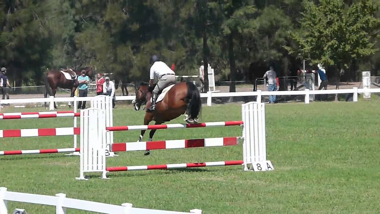Falcon Braddock competing at Sydney Showjumping Club. March 2013 - YouTube