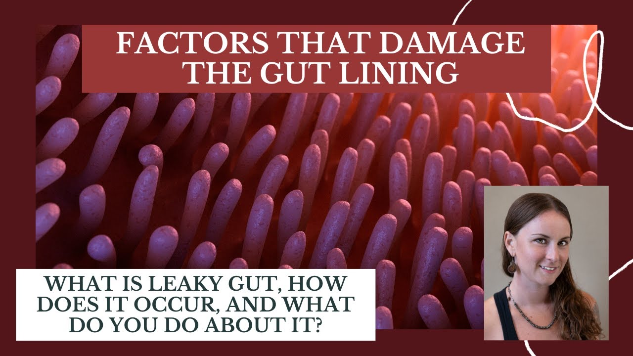 FACTORS THAT DAMAGE THE GUT LINING - YouTube