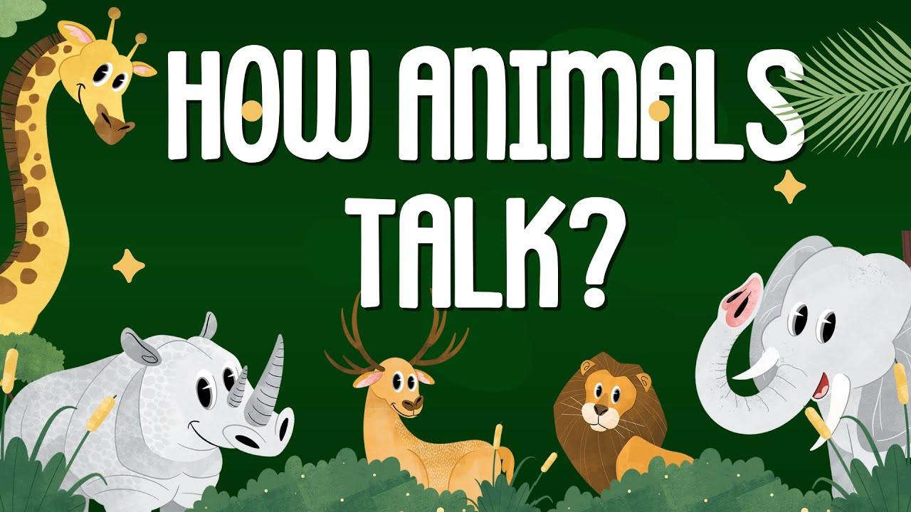 How Do Animals Communicate? Fascinating Ways Animals Talk Without Words ...
