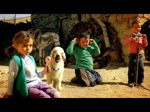 KÖY ÇOCUKLARI ORKESTRASI REKLAM FİLMİ - KONYA ŞEKER