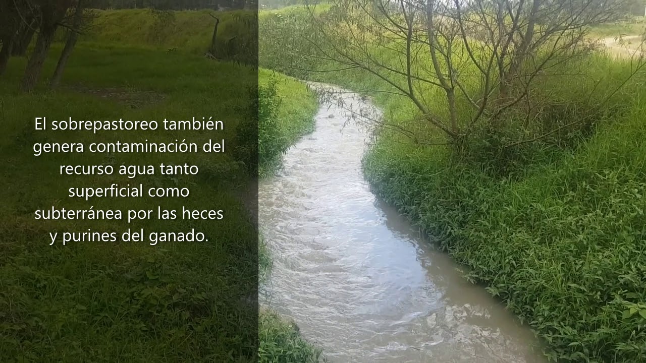 DEGRADACIÓN DEL SUELO POR EL SOBREPASTOREO - YouTube