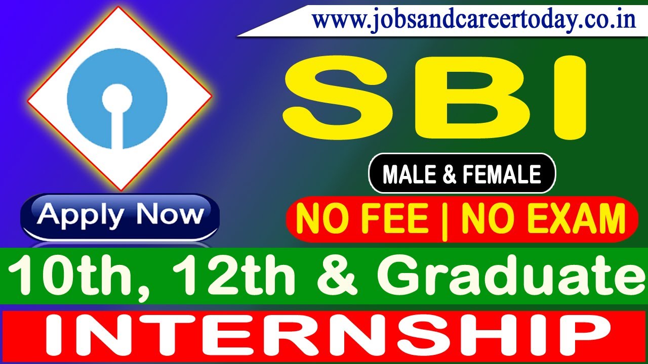 SBI Recruitment 2024 | SBI Bank New Vacancy 2024 | Bank Vacancy 2024 ...