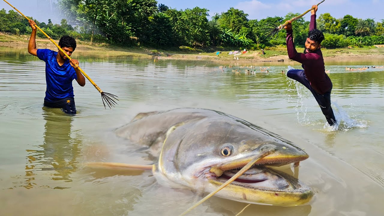 Traditional Kotch Fishing in River | Amazing River Fishing With Bamboo ...