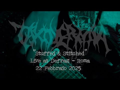 TAXIDERMIA - \