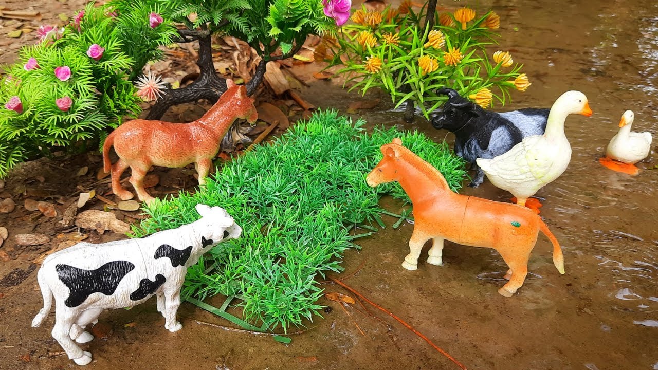 mini tractor, animal, cow cow, horse video, tektar, amba, Cow cartoon ...