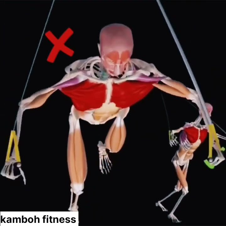 Chest Fly Offset Stance (straps)The frot leg moderates/balances # ...