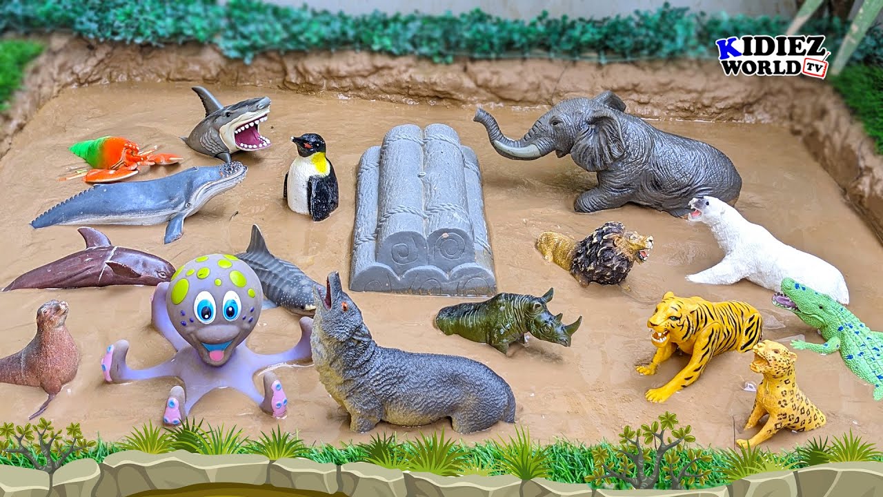 Discover the Hidden World of Wild Animals and Sea Creatures for Kids ...