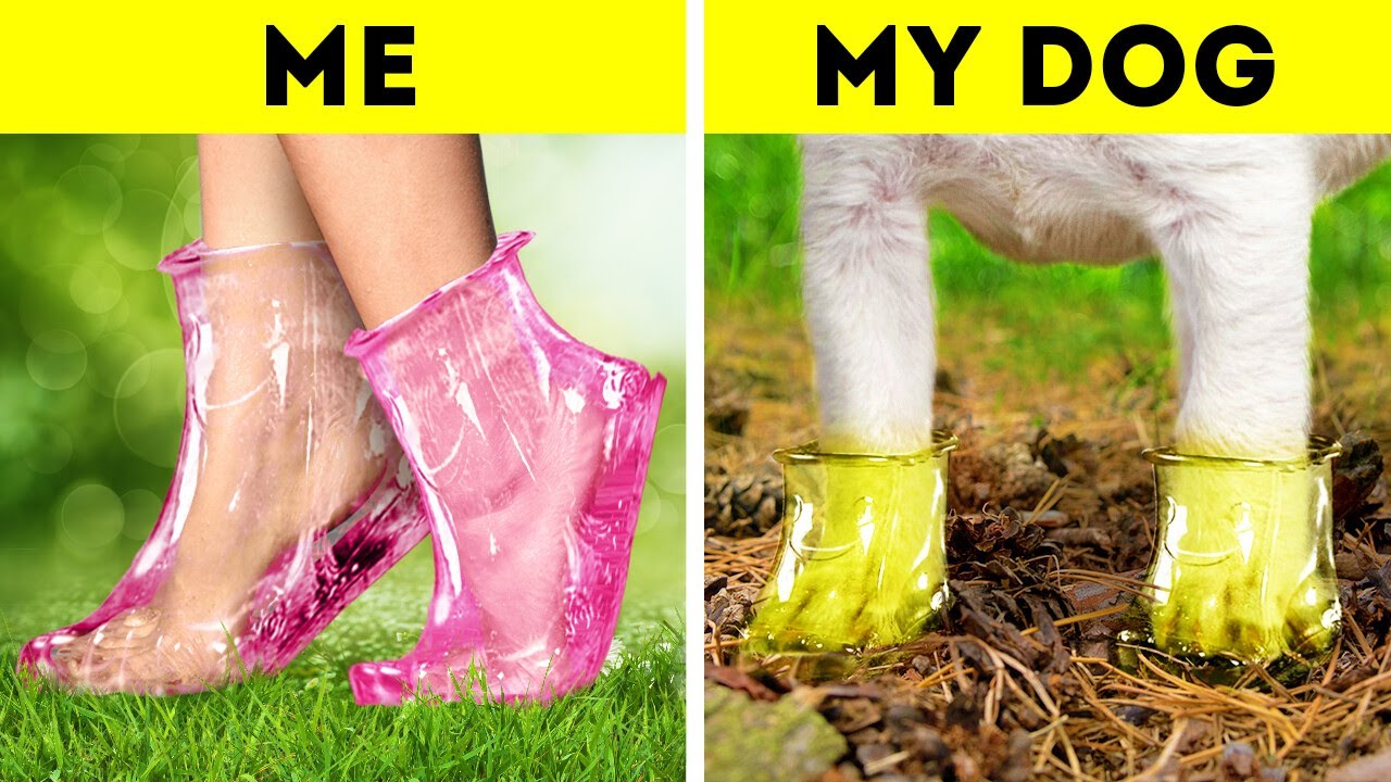 MAKE YOUR PETS HAPPY | Genius Gadgets And Hacks For Pet Owners 🐾 - YouTube