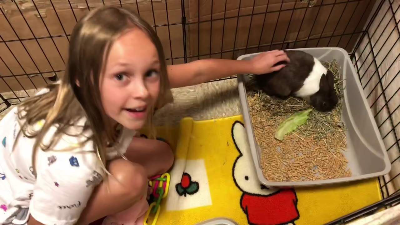 Getting my pet bunny! - YouTube