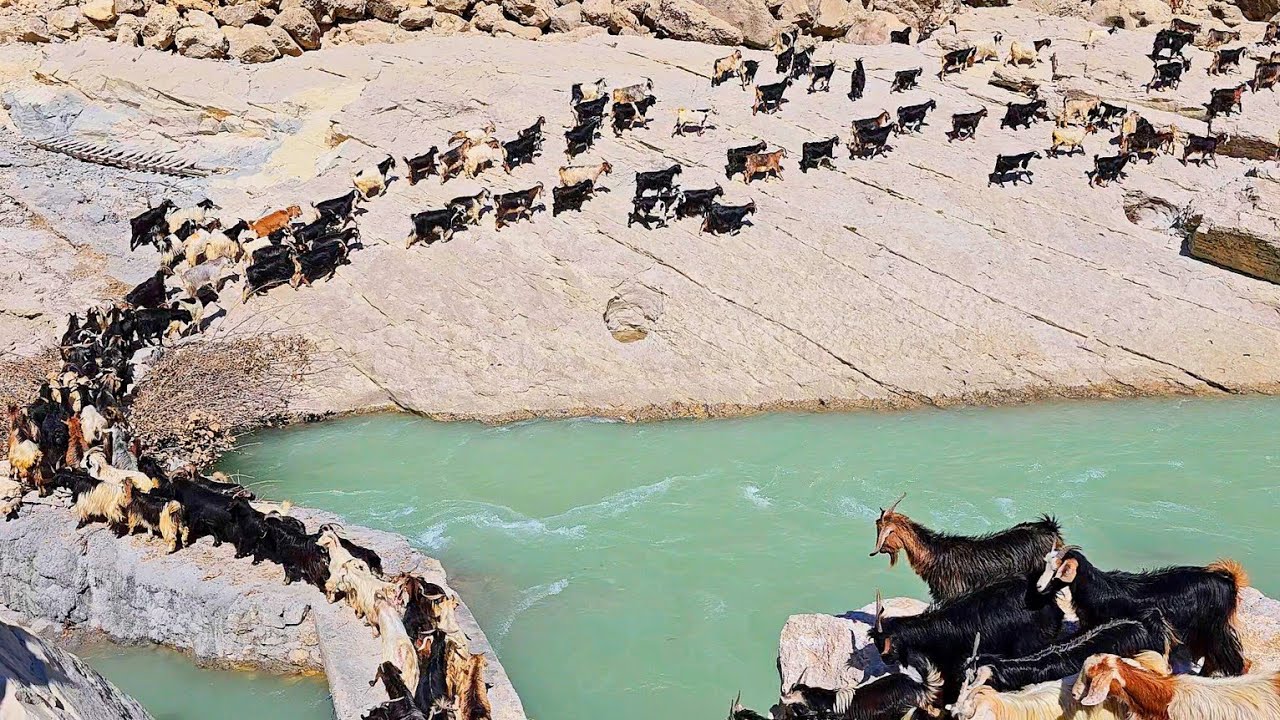 "The Nomadic Life; The Art of Building Bridges over Roaring Rivers ...