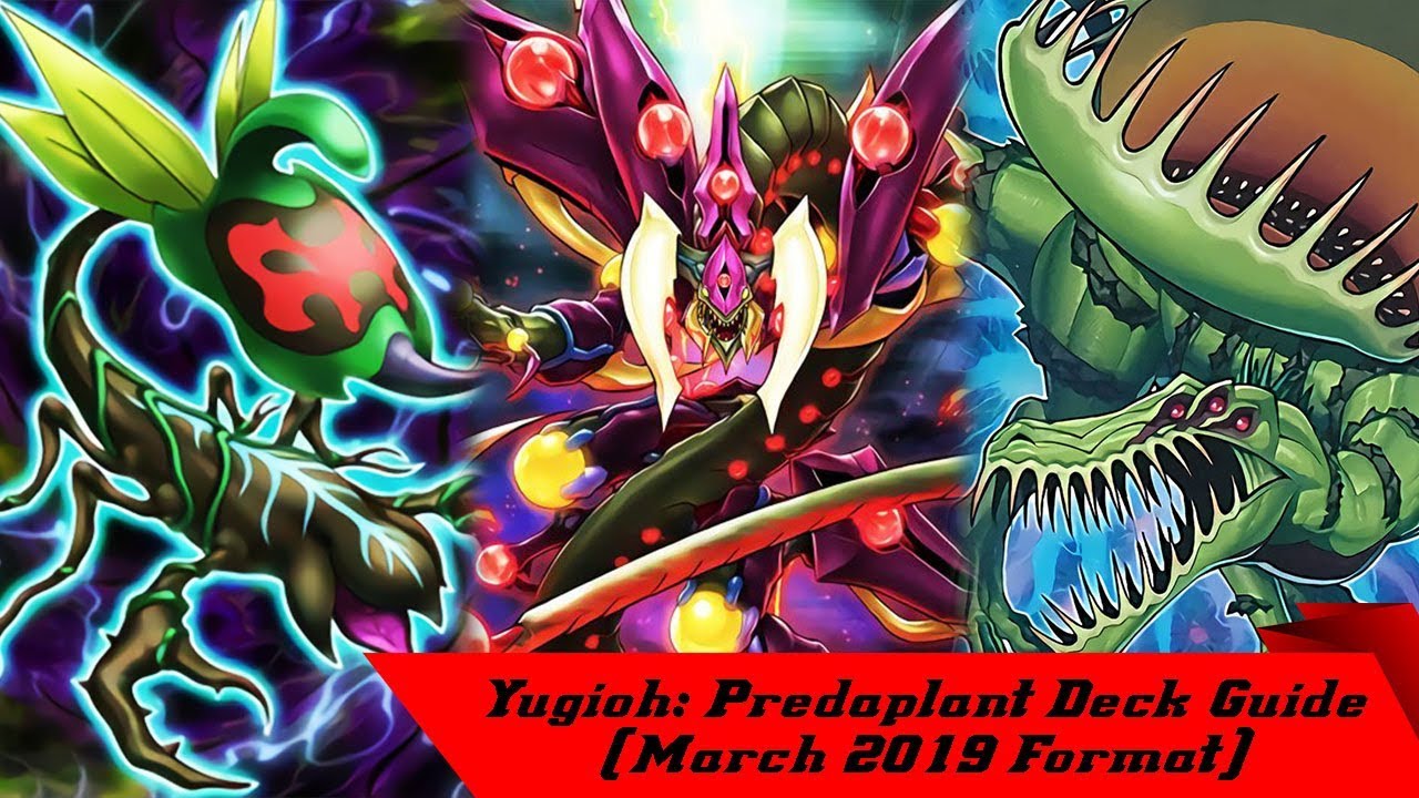 Yugioh: Predaplant Deck Guide (March 2019 Format) - YouTube