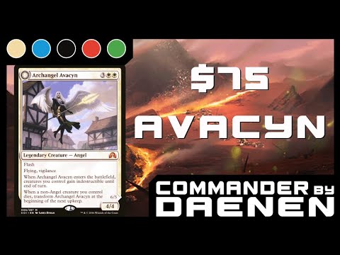Let's Build an Archangel Avacyn Damage Redirect Commander Deck - YouTube