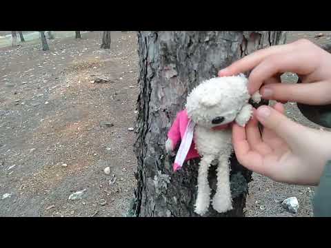 1. bölüm süslü kayboldu 😢❤️ Türkçe doğa dostları 