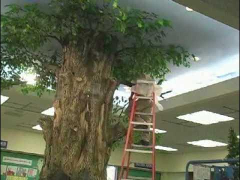 The making of a tree - YouTube