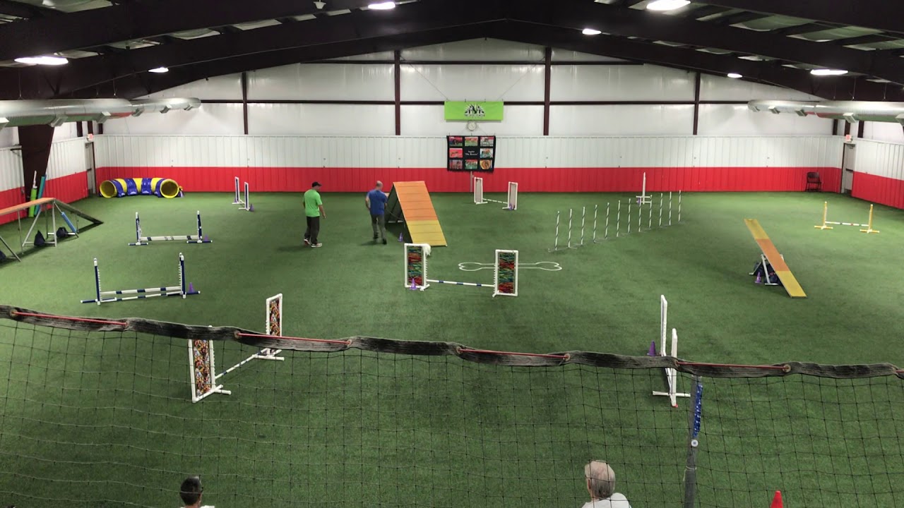 August 10, 2019 Master Standard Agility Run - YouTube