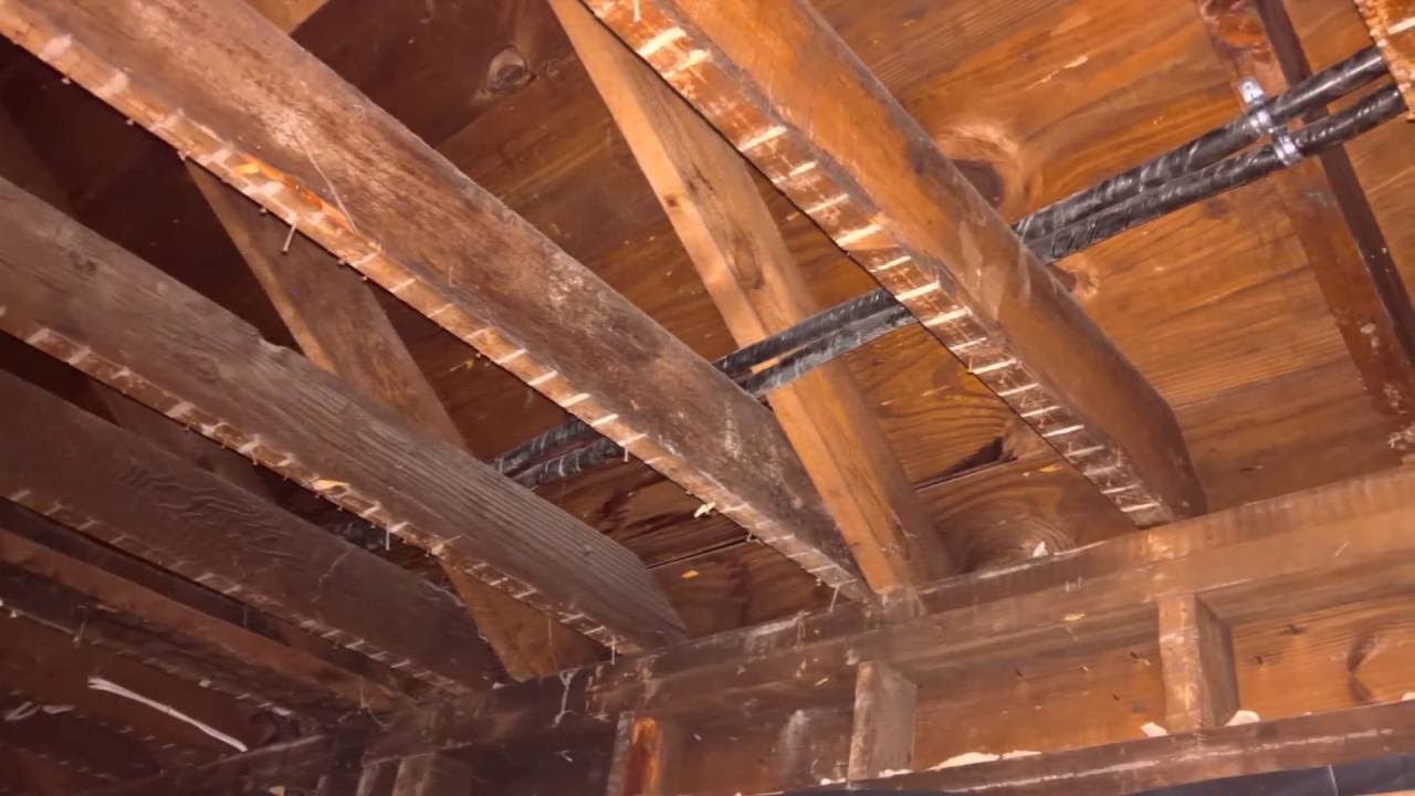 Daikin Multi zone Mini split Air conditioning systems - YouTube
