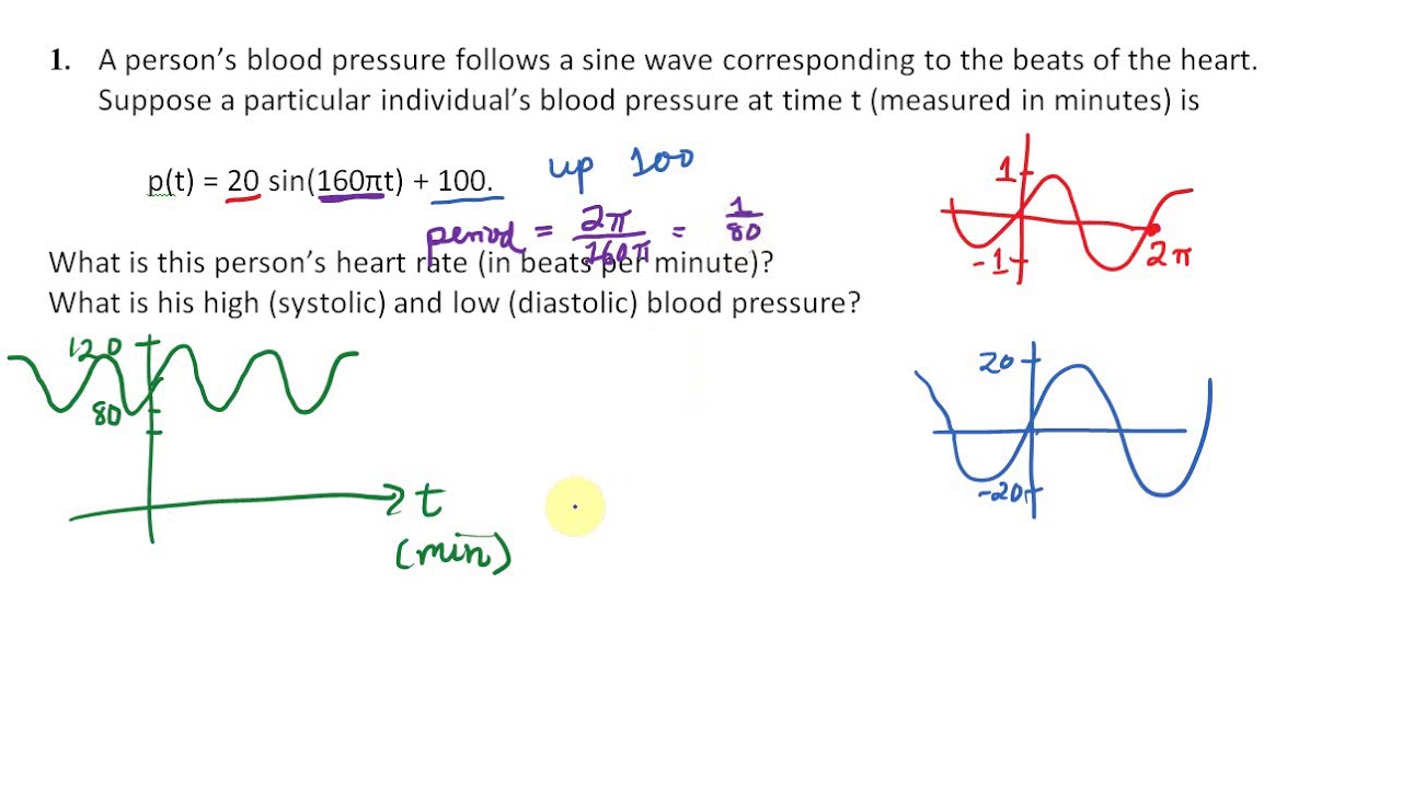 Sinusoid Blood Pressure - YouTube
