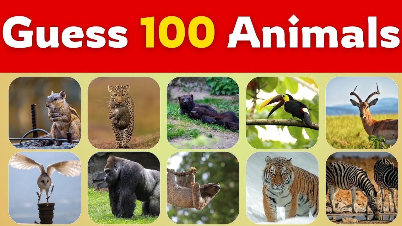 Do You Know Animals? Test Yourself: 100 Pictures — 100 Answers! Best ...