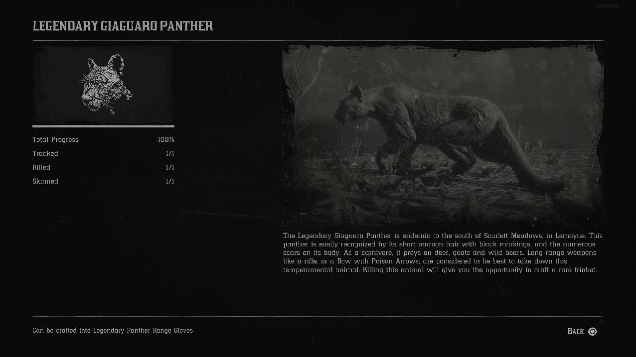 Red Dead Redemption 2 - Legendary Panther - YouTube