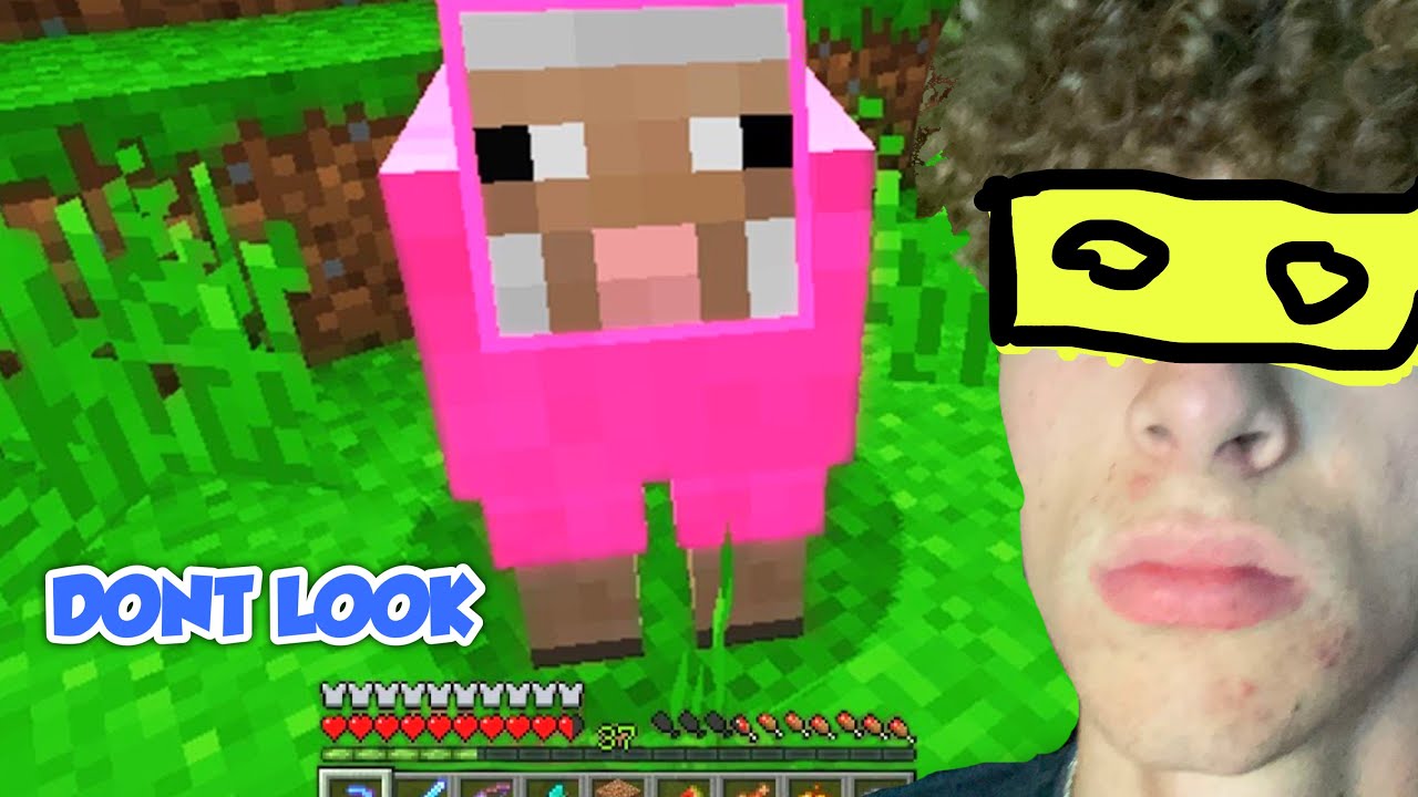 if I see a SHEEP in Minecraft, the video ends - YouTube