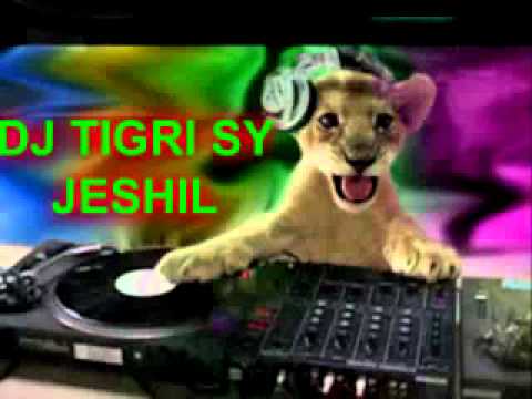 DJ TIGRI SY JESHIL - house'laluia saxobeat sidekick ( MIX ) - YouTube