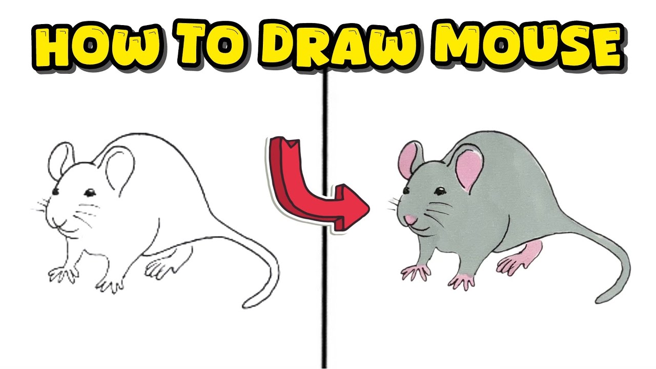 How to Draw a Little Mouse – Follow Along Easy Animal Sketching - YouTube