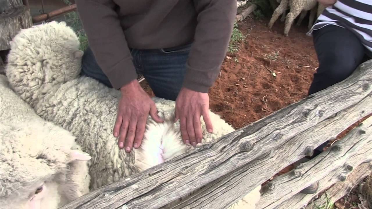 Jandra Station - YouTube