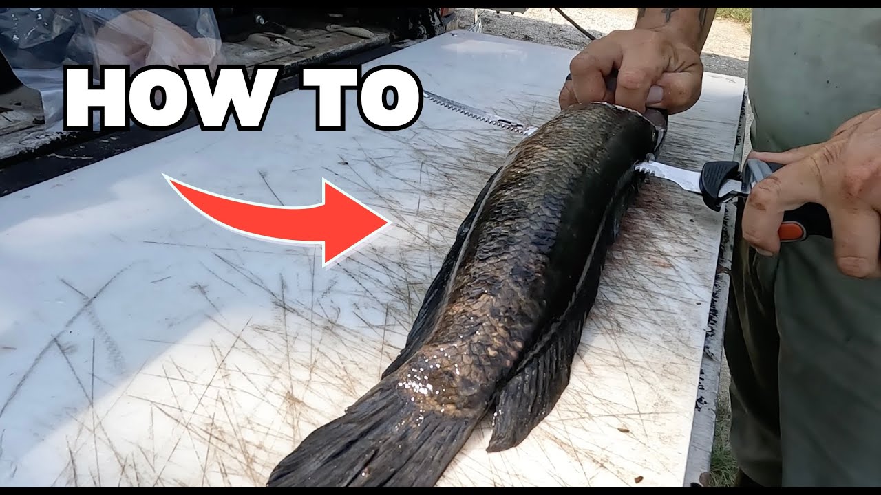 HOW TO: FILET A NORTHERN SNAKEHEAD - YouTube