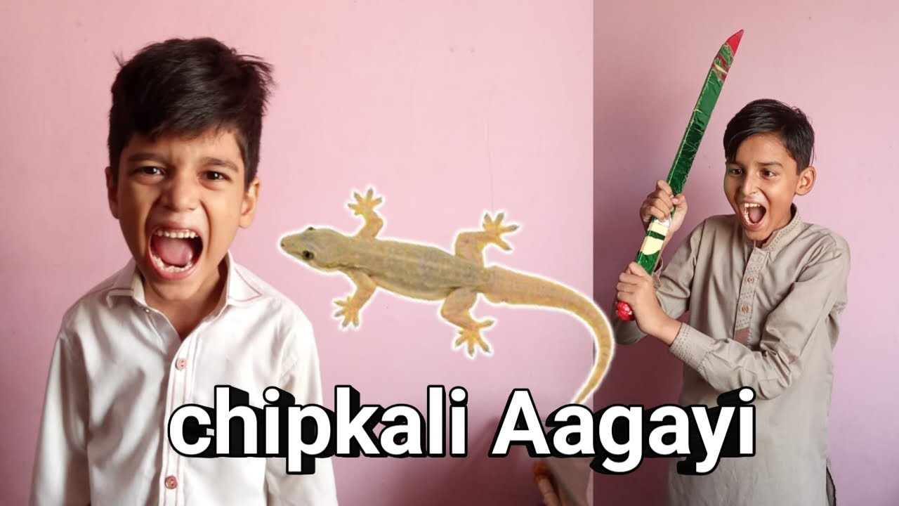 Chipkali Room Me Agayi | Mama ko Gussa Agaya | Aapi chipkali se Dar k ...