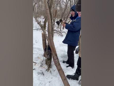 Ржака ржака #shorts - YouTube
