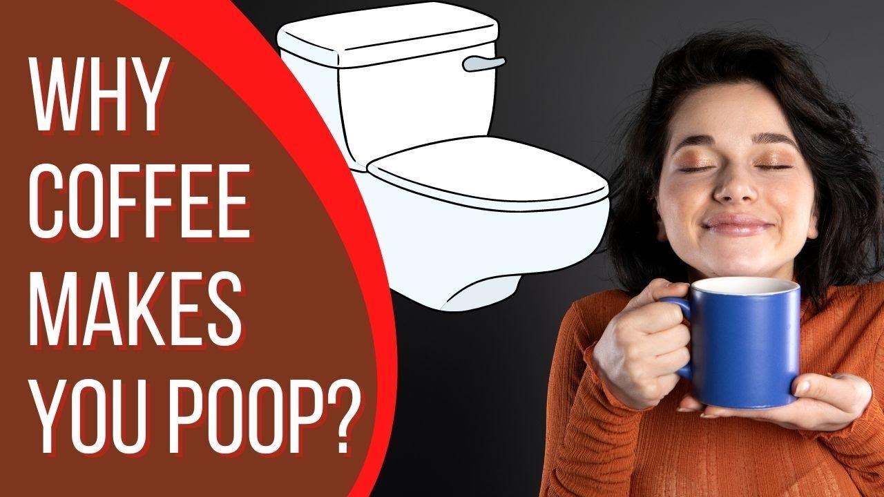 Why Coffee Makes you POOP? - YouTube