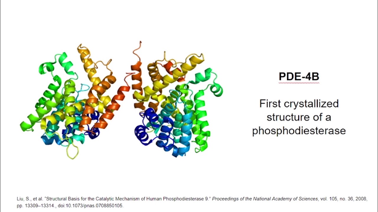 PDE-6, Part 2 - YouTube