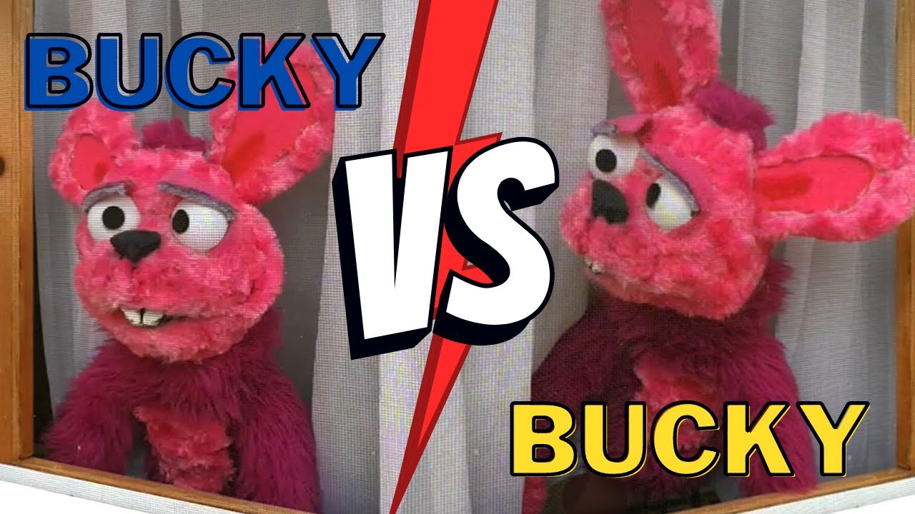 Bucky vs. Bucky - YouTube