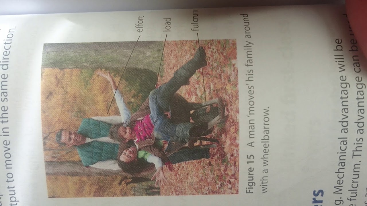 Grade 8 Technology - Levers and Linkages (Single second-class levers ...