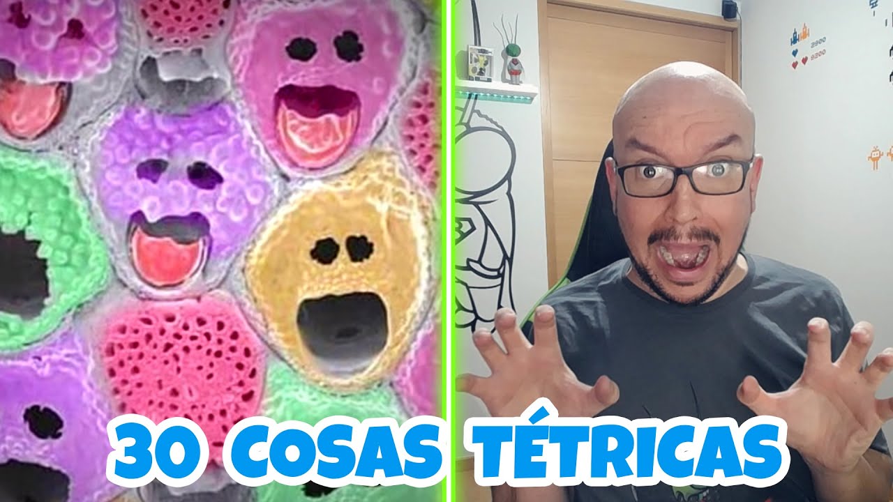 30 cosas TÉTRICAS que no sabías hace 5 minutos!! | Bichoman ...
