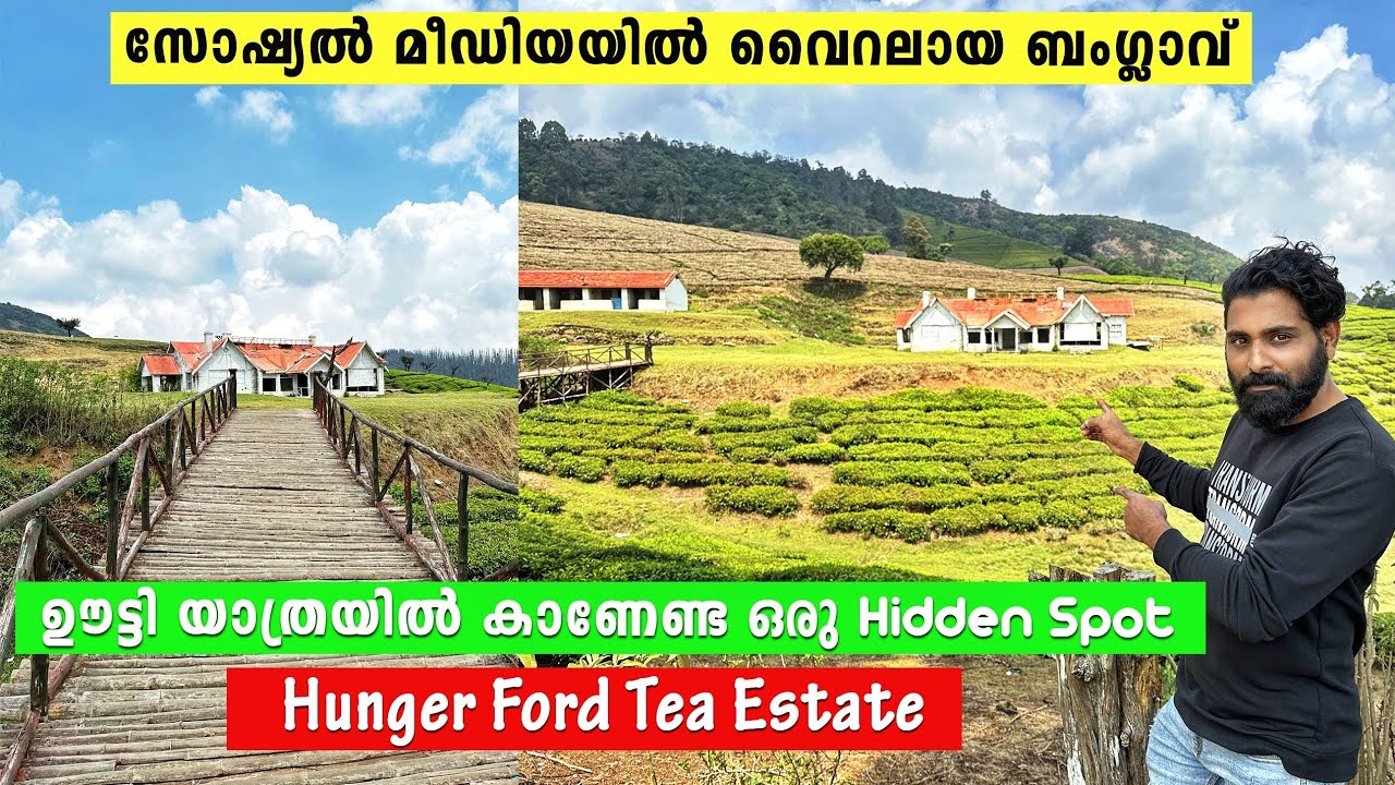 How to go Hunger ford estate Ooty | Hunger Ford Tea Estate Ooty ...