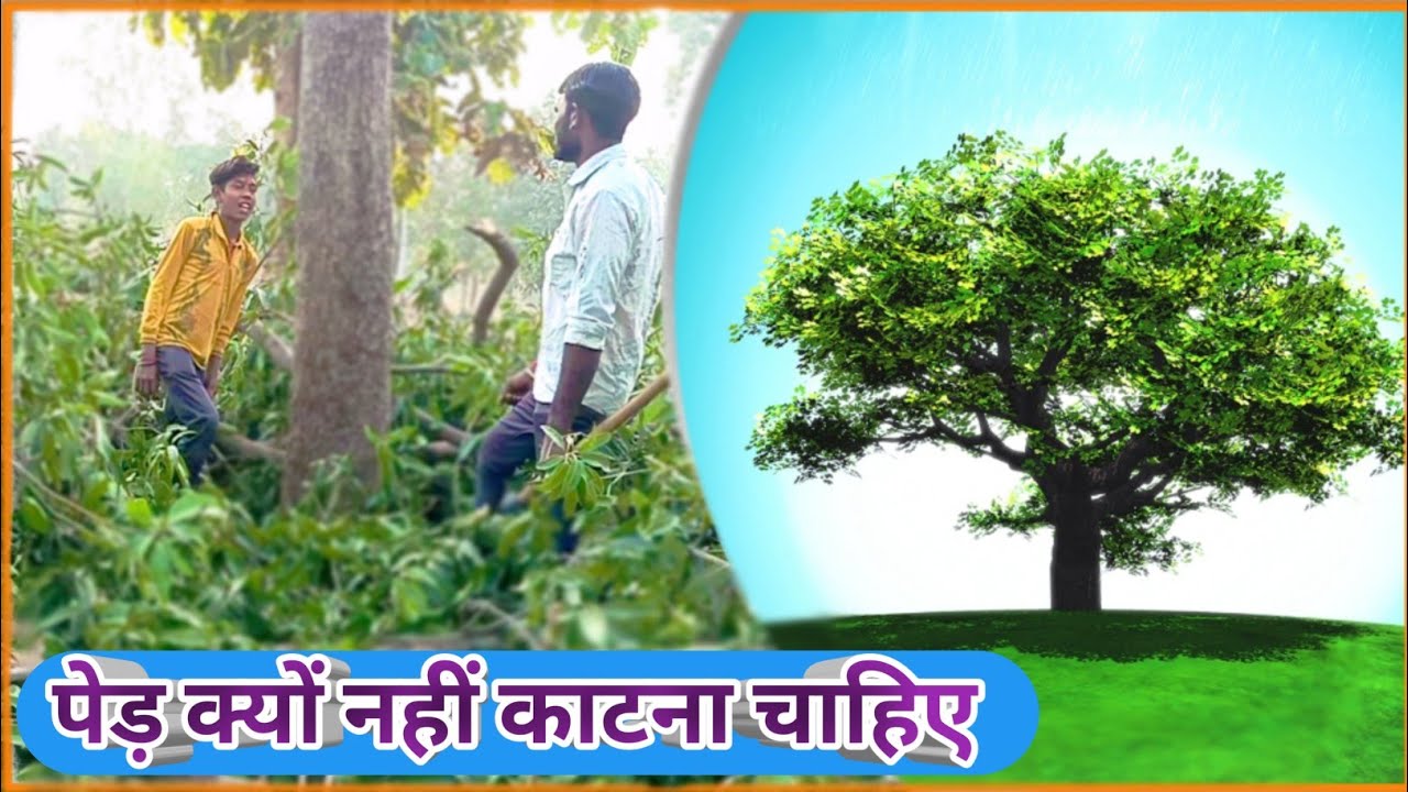 ped kyo nahi katna chahiye । why trees should not be cut । ped katne ki ...