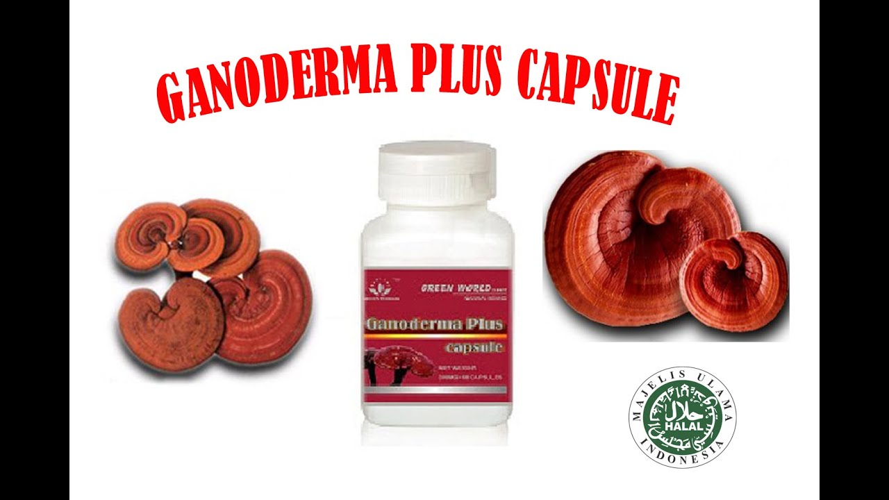 085 320 602 958 | Ganoderma Plus capsule | Obat Herbal Ganoderma Plus ...