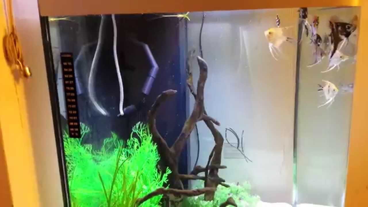 Fluval Osaka 155 - Open Top - YouTube