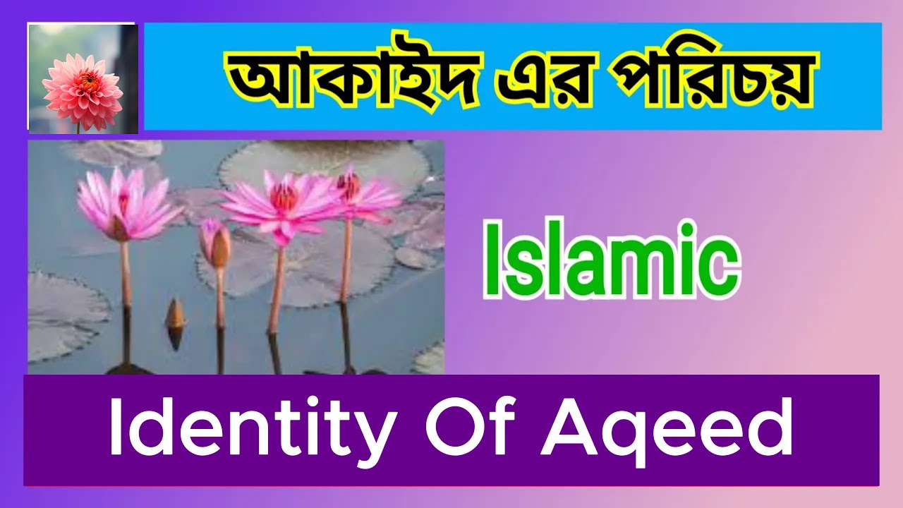 আকাইদ এর পরিচয় | আকাইদ সম্পর্কে প্রতিবেদন || Identity Of Aqeed | Akaid ...